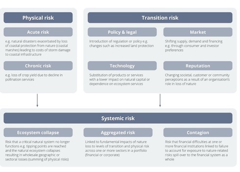 Nature-related risks definition | Biodiversity A-Z